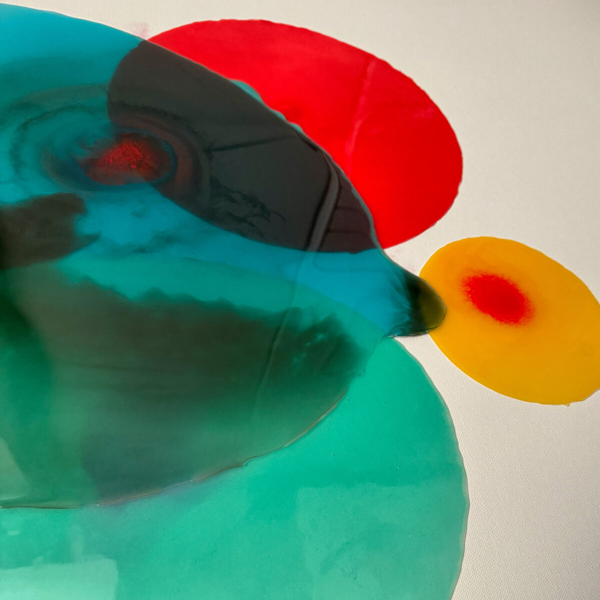 Extinct or Undiscovered, I - Sleepy Marmot - Zeitgeist Art